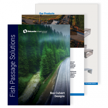 Fish Passage Solutions | Enhancing Fish Migration in Washington State