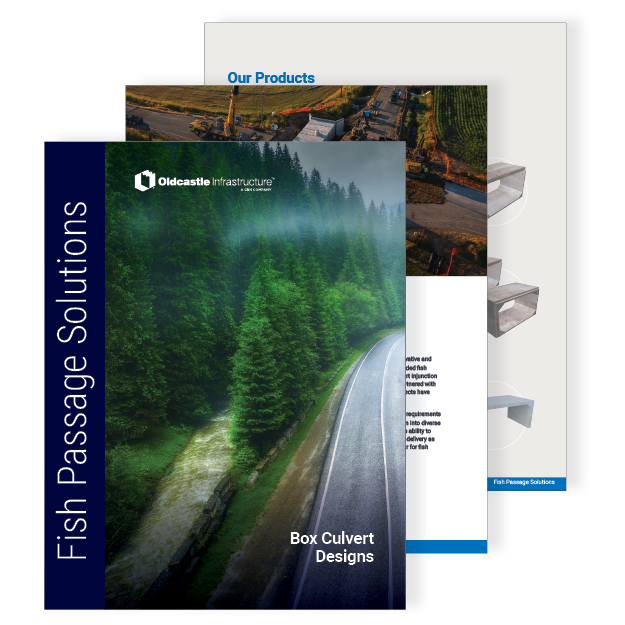 Fish Passage Solutions | Enhancing Fish Migration in Washington State