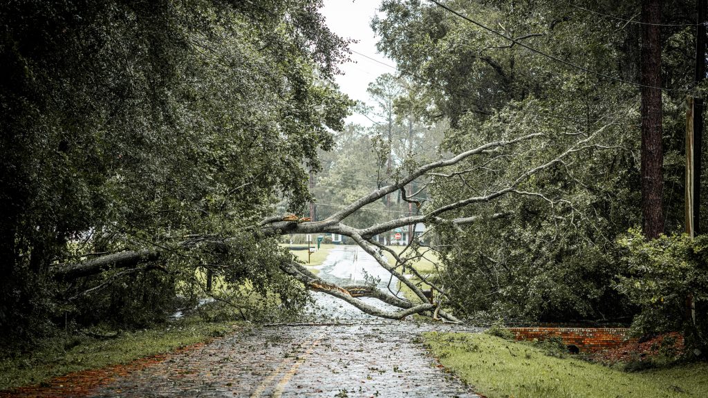 Weathering the Storm: How Grid Hardening Shields Communities ...